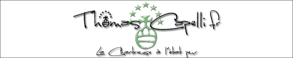 Mouflons | Thomas Capelli Photos Chartreuse